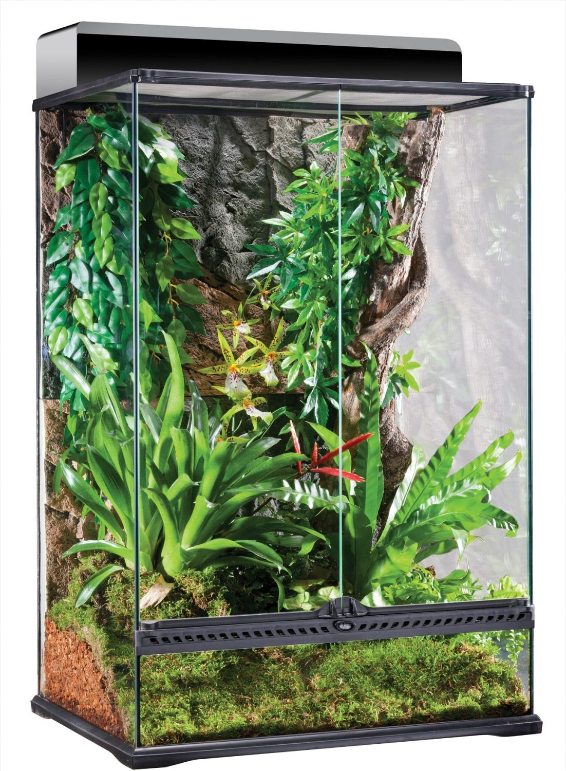 How do I equip my terrarium? - ReptileStartUp.com