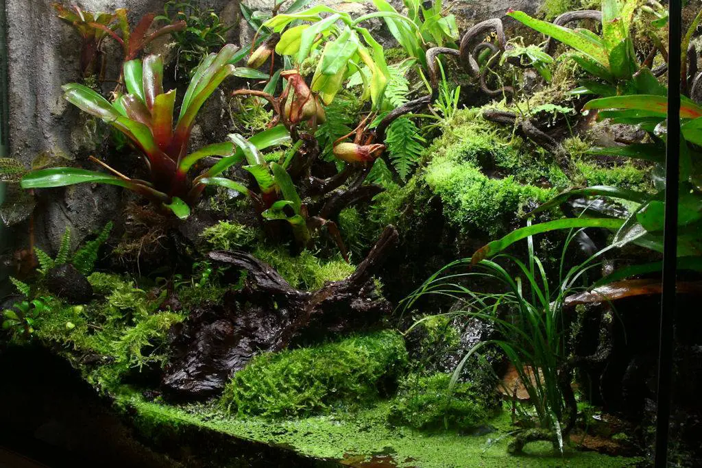 Different terrarium soil substrates - ReptileStartUp.com