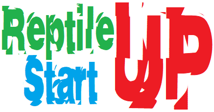 Are Skinks Poisonous? Everything You Need to Know - ReptileStartUp.com