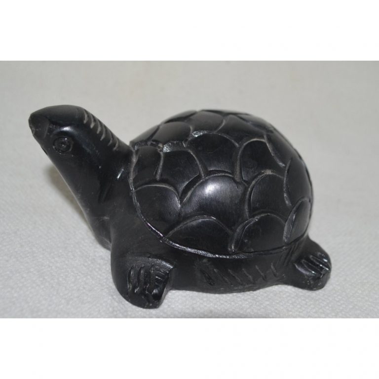 What's the Color of Your Tortoise? - ReptileStartUp.com