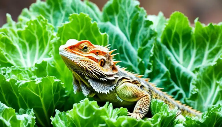 Bearded Dragons Diet: Can They Eat Cabbage?