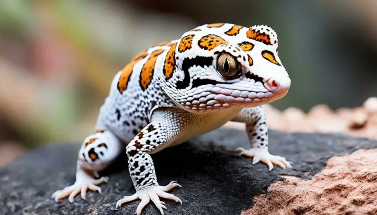 Understanding Lizard Noises: What Do They Signify?