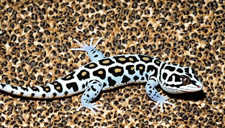 Leopard Geckos Aging: Do They Change Color?