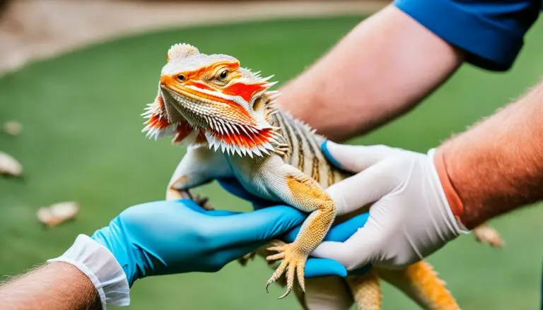 Understanding Bearded Dragon Behavior: Do They Bite?